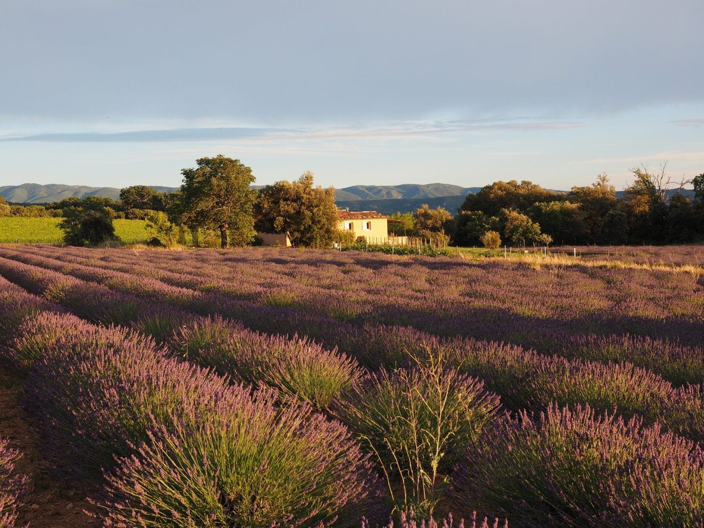 Provence in Detail | Tailor Made Rail